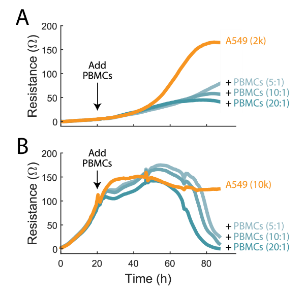 In Vitro Potency Assays For Immune Cell Mediated Killing With The